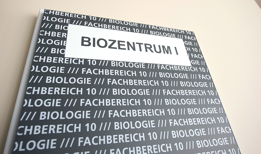 Der Neubau BioZentrum I | JGU Magazin